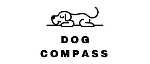 Dog Compass